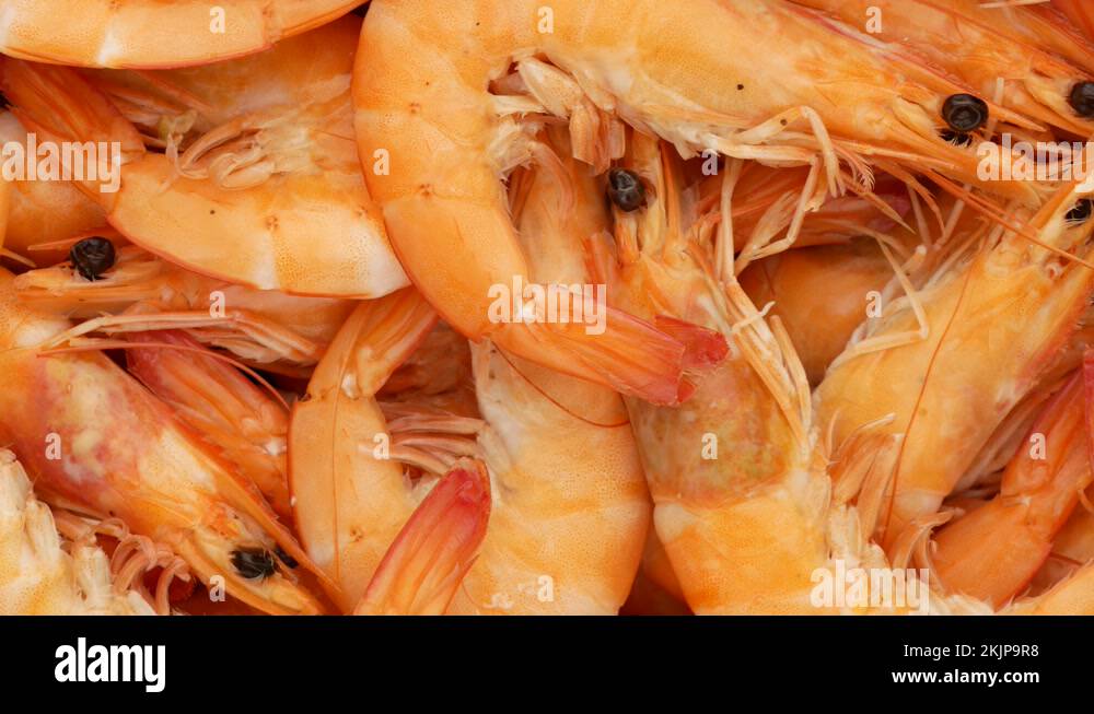 Seafood prawn Stock Videos & Footage - HD and 4K Video Clips - Alamy