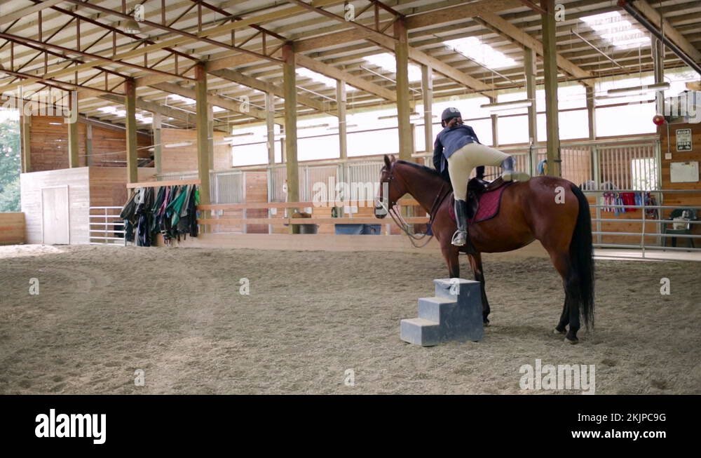 Woman mounting horse Stock Videos & Footage - HD and 4K Video Clips - Alamy