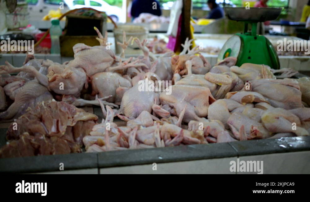 Pile of chickens Stock Videos & Footage - HD and 4K Video Clips - Alamy