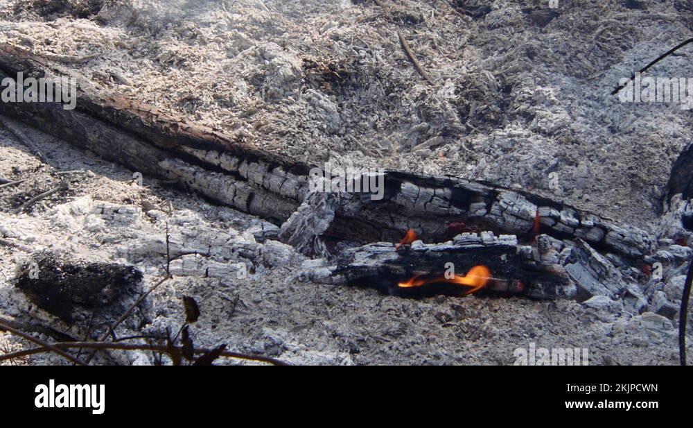 Amazon rain forest burning deforestation Stock Videos & Footage - HD ...