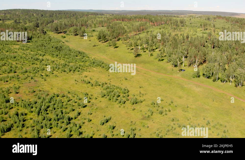 Dense evergreen forests highland trees Stock Videos & Footage - HD and ...