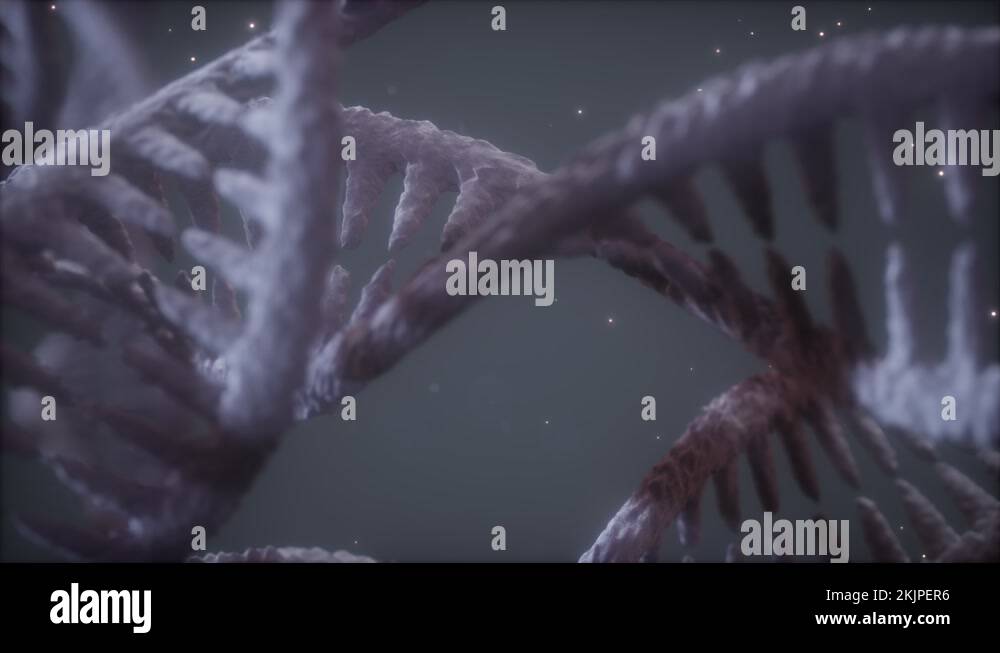 double helical structure of dna strand close-up animation Stock Video ...