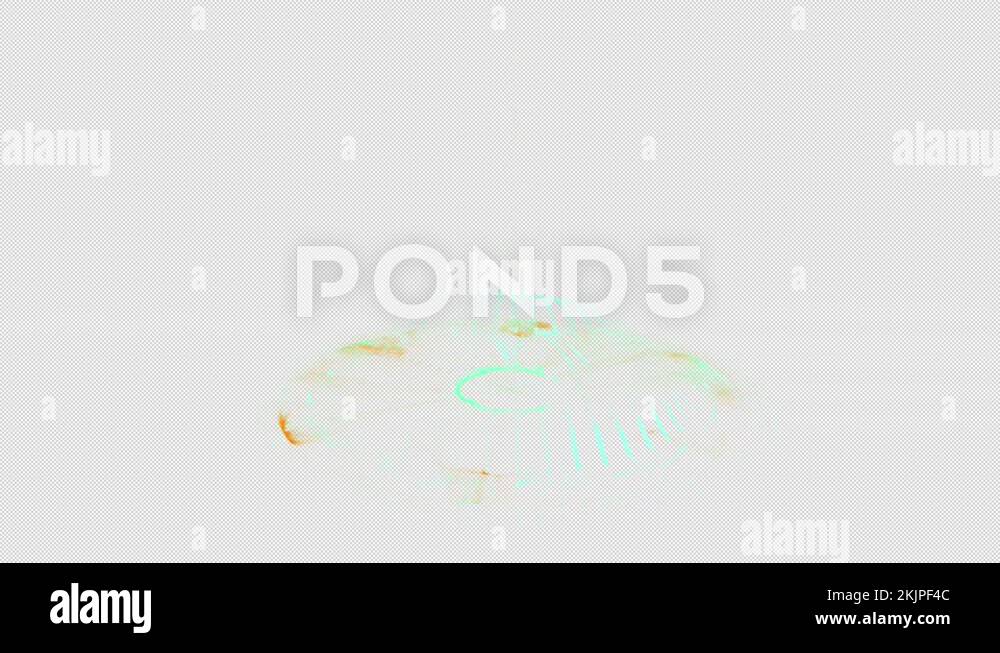 Sci Fi Energy Field On Transparent Background Stock Video Footage - Alamy