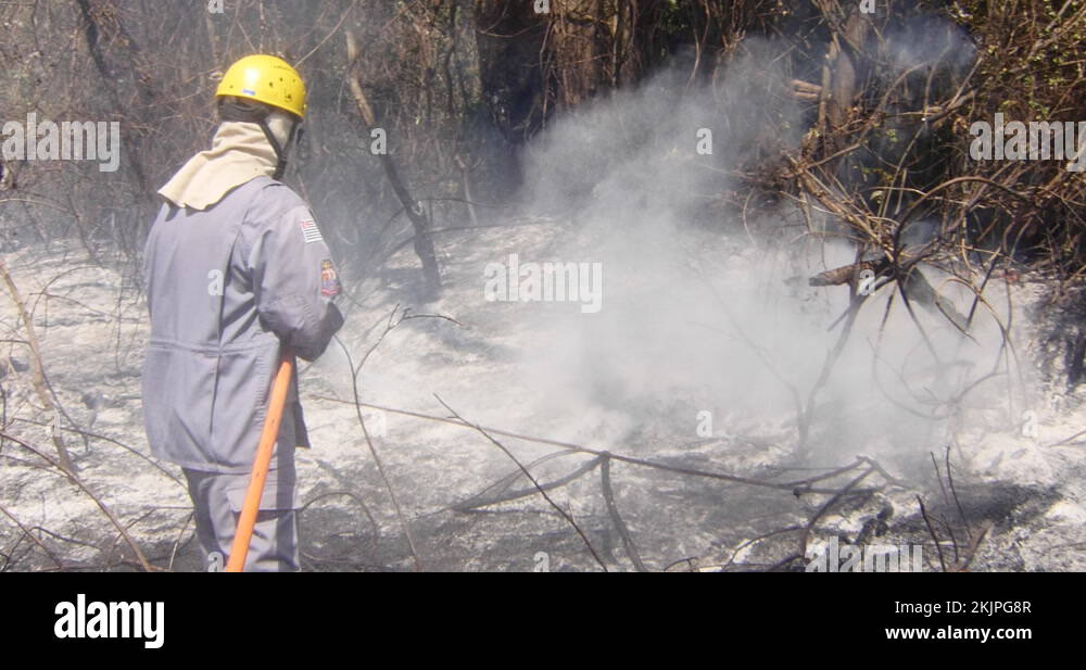 Fireman Extinguishing Burning Forest Emergency. Deforestation And Fire ...