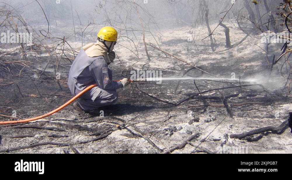 Fireman Extinguishing Burning Forest Emergency. Deforestation And Fire ...
