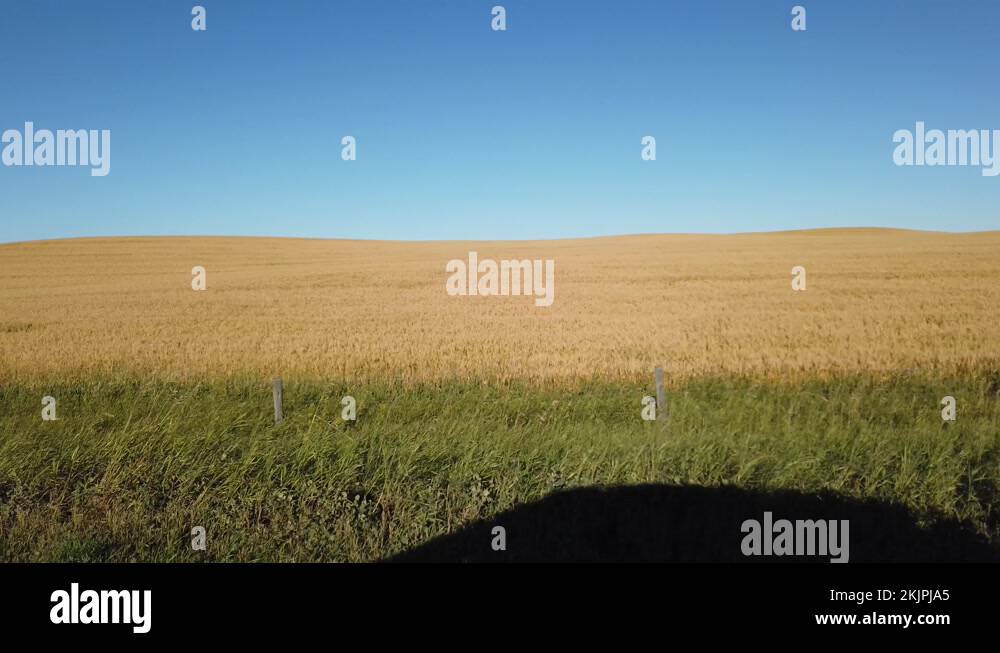 Alberta grasslands Stock Videos & Footage - HD and 4K Video Clips - Alamy