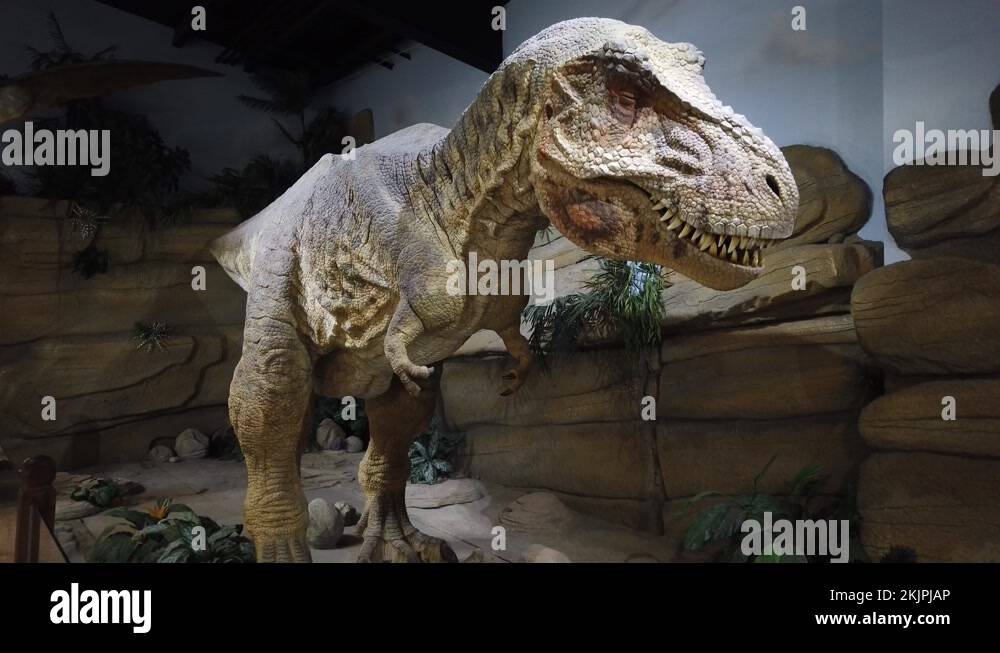 Life like dinosaurs Stock Videos & Footage - HD and 4K Video Clips - Alamy