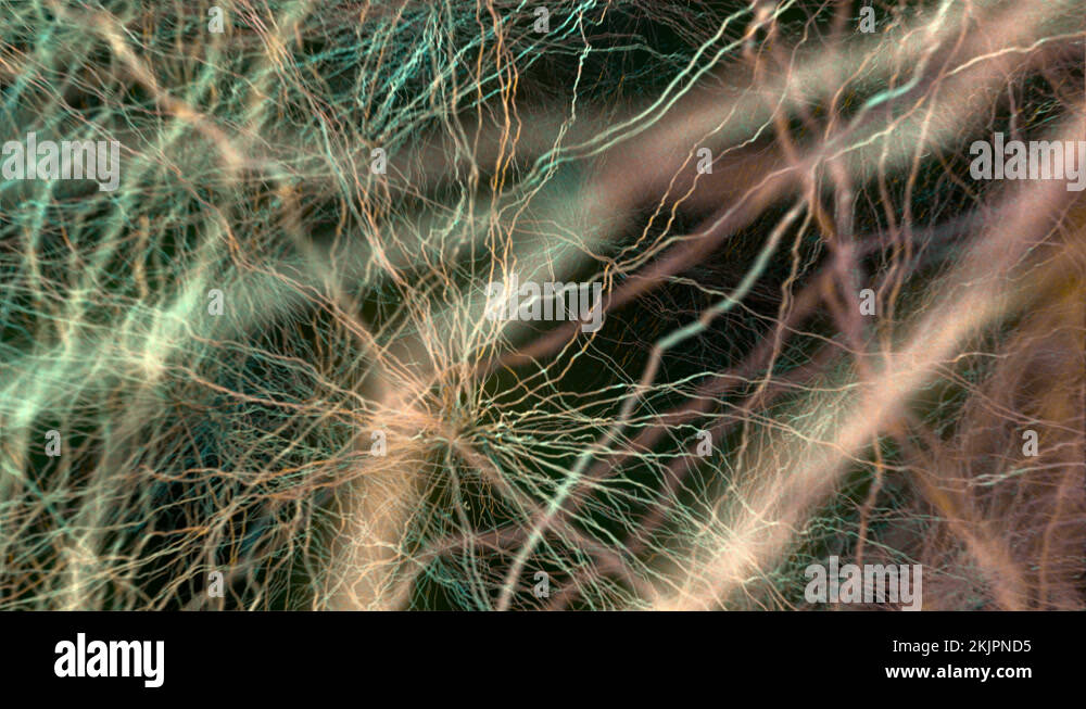 Neural network microscope Stock Videos & Footage - HD and 4K Video ...