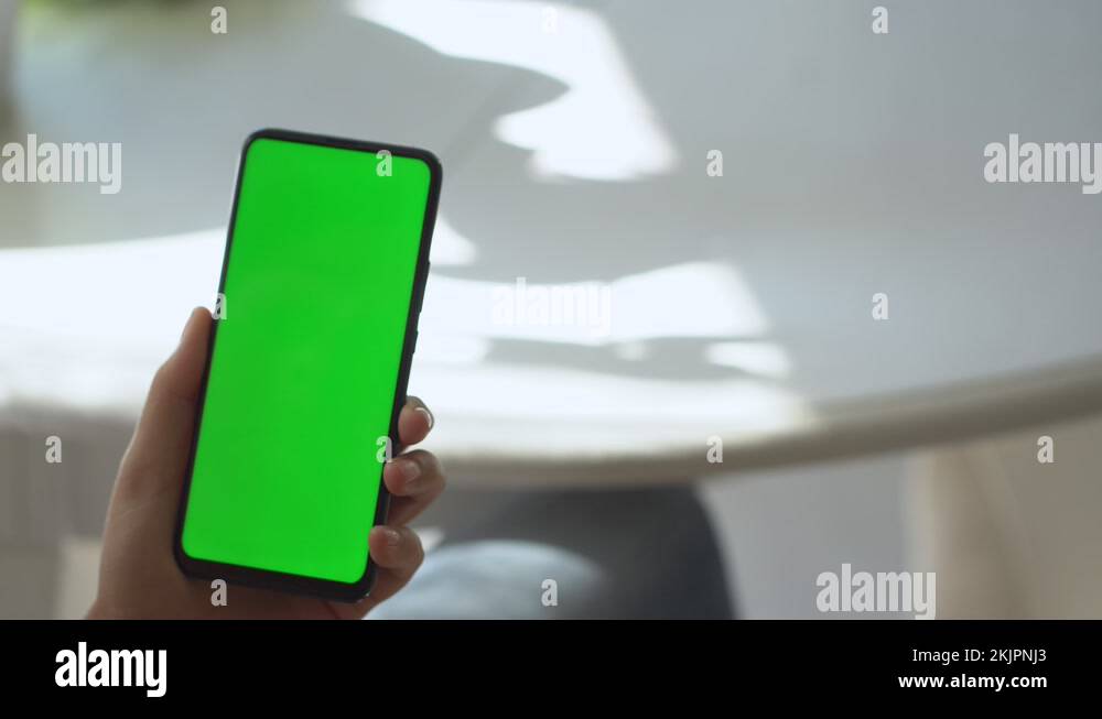 Handheld Camera: Back view of brunette holding chroma key green screen ...