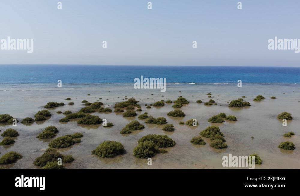 Aerial view of coastal mangrove ecosystems near Duba, Red Sea, Saudi ...
