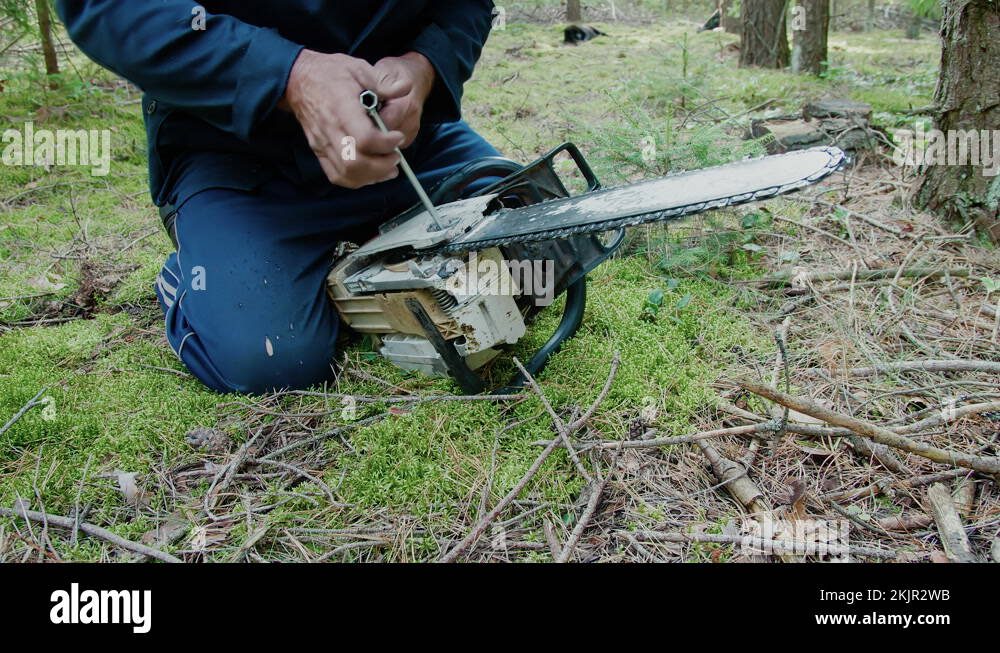 A forest worker Stock Videos & Footage - HD and 4K Video Clips - Alamy