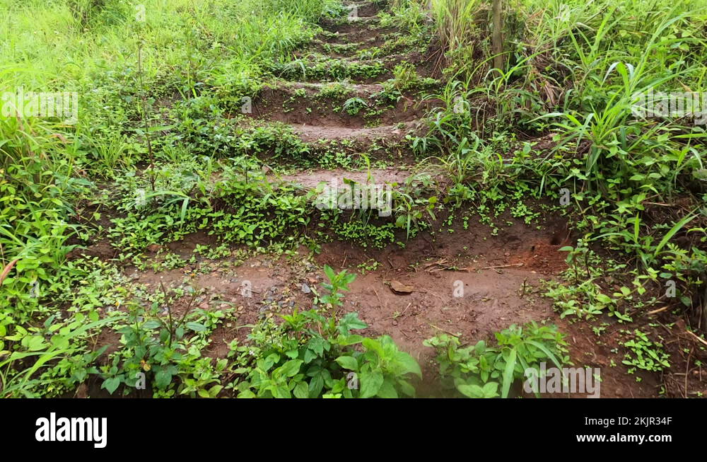 Soil stairs Stock Videos & Footage - HD and 4K Video Clips - Alamy