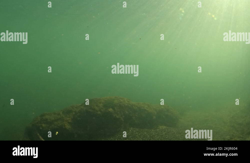 Water underwater light rays Stock Videos & Footage - HD and 4K Video ...