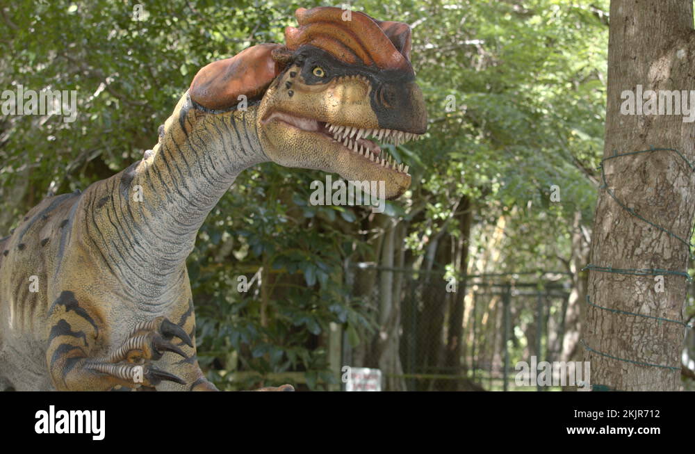 Theropod dinosaur Stock Videos & Footage - HD and 4K Video Clips - Alamy