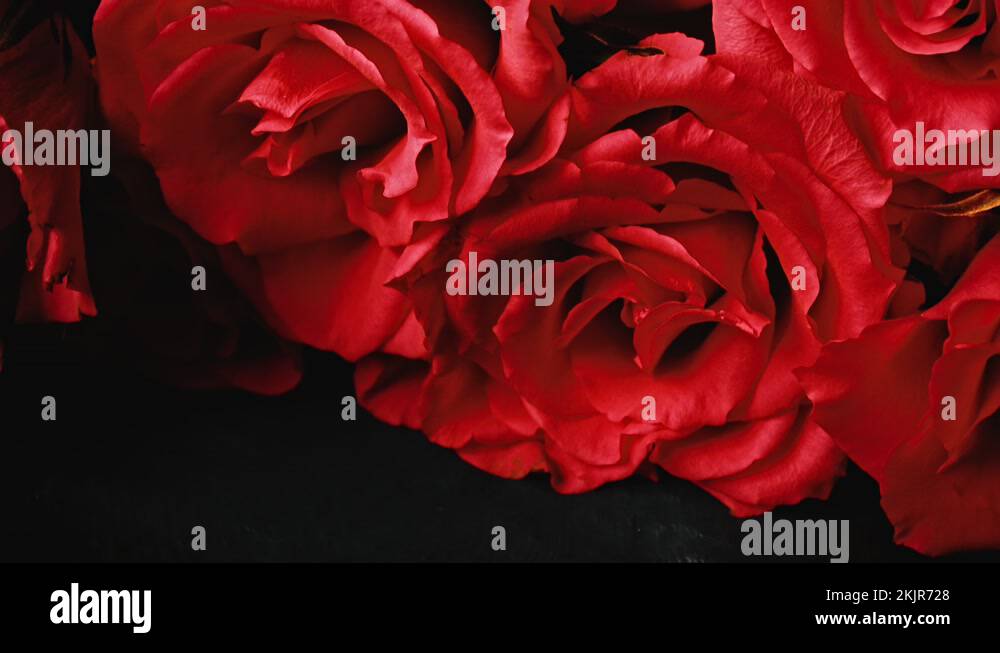 Romantic red roses stone Stock Videos & Footage - HD and 4K Video Clips ...