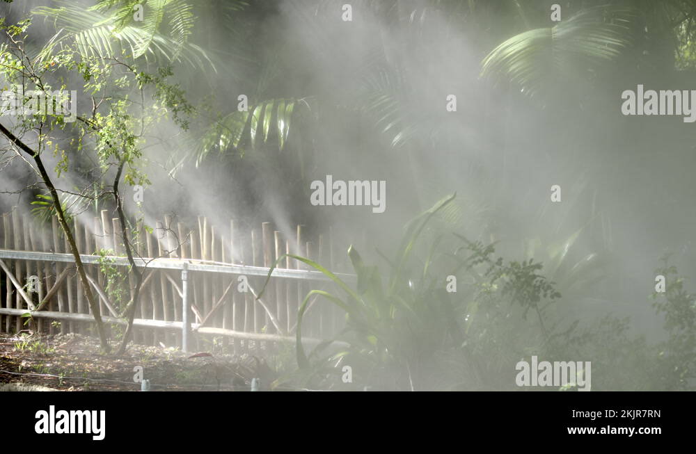 Humid Stock Videos & Footage - HD and 4K Video Clips - Alamy