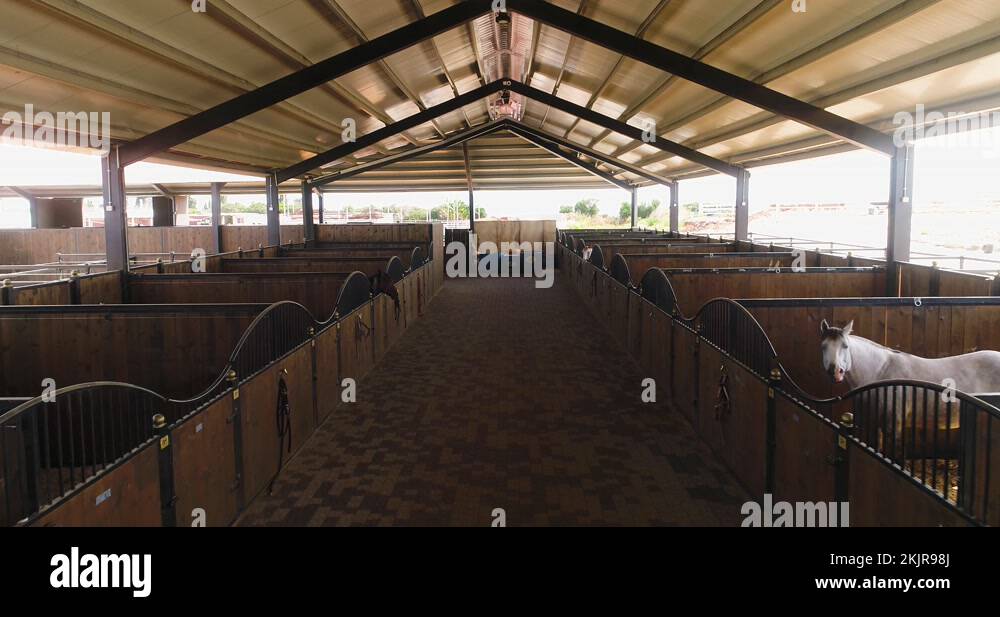 Inside view or horse stallion barn ranch. Aerial dolly shot at daytime ...