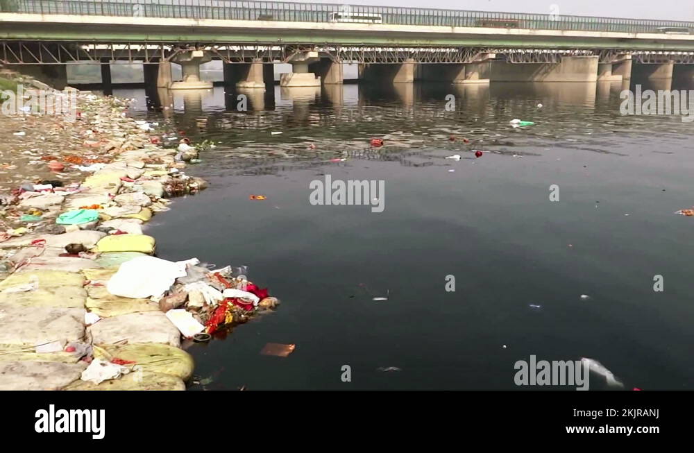 Medium, trash floating in the polluted waters of Yamuna River, New ...