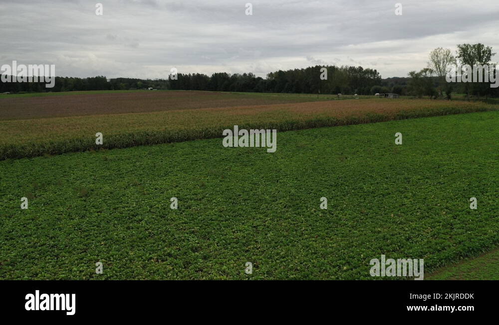 Belgium open Stock Videos & Footage - HD and 4K Video Clips - Alamy