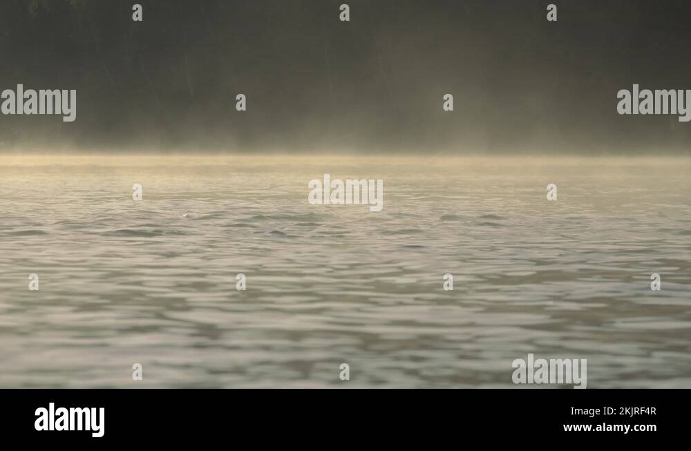 Water mist and backlight Stock Videos & Footage - HD and 4K Video Clips ...