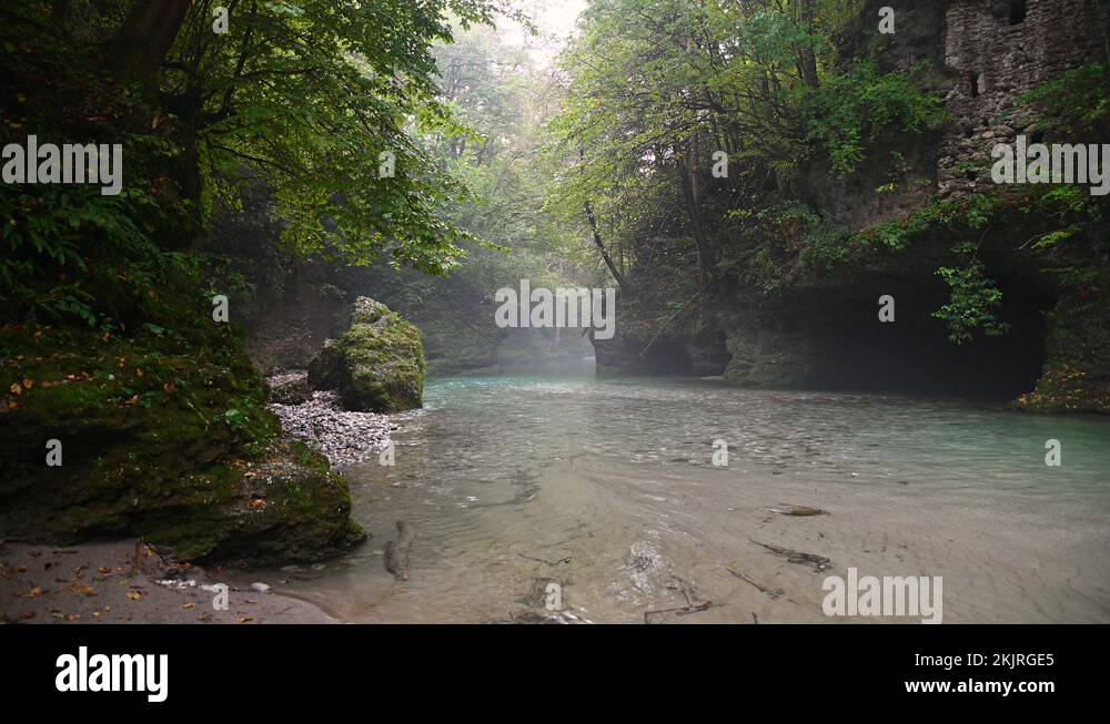 Green and clean river in Alps. Morning mist on water surface Stock ...