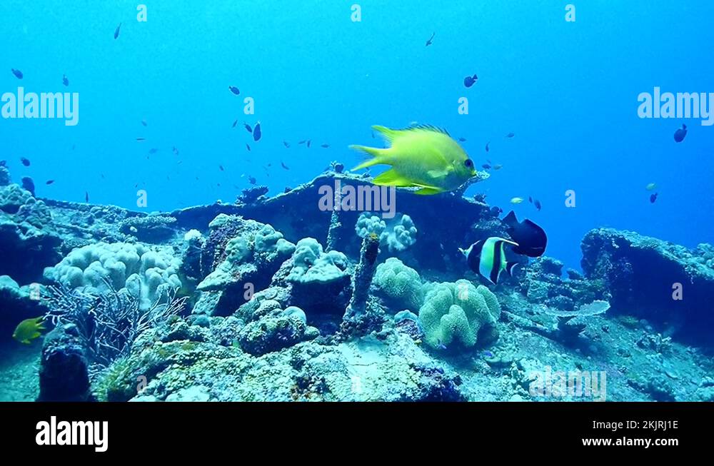 Home png Stock Videos & Footage - HD and 4K Video Clips - Alamy