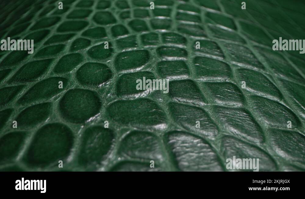 Green skin texture Stock Videos & Footage - HD and 4K Video Clips - Alamy