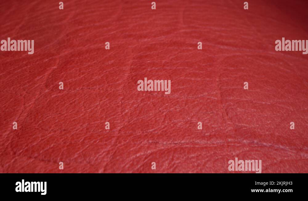 Animal hide texture Stock Videos & Footage - HD and 4K Video Clips - Alamy