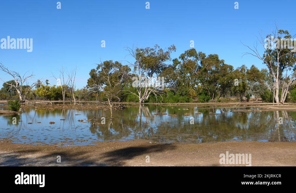 Outback landscapes Stock Videos & Footage - HD and 4K Video Clips - Alamy