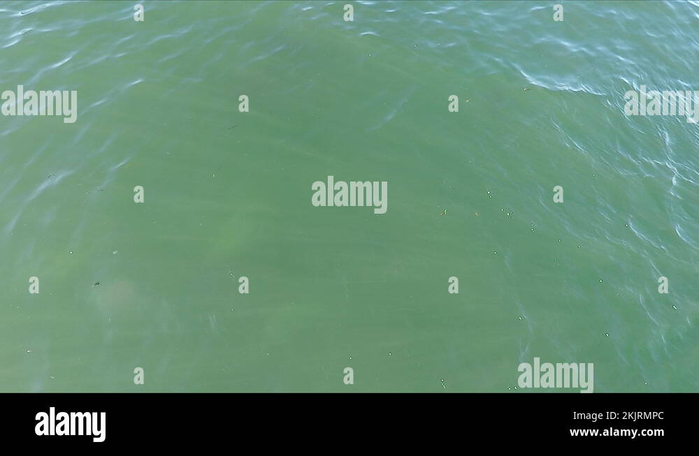 Ocean Birds-Eye Aerial, Cinematic, Blue Water, Texture, Scenic Travel ...