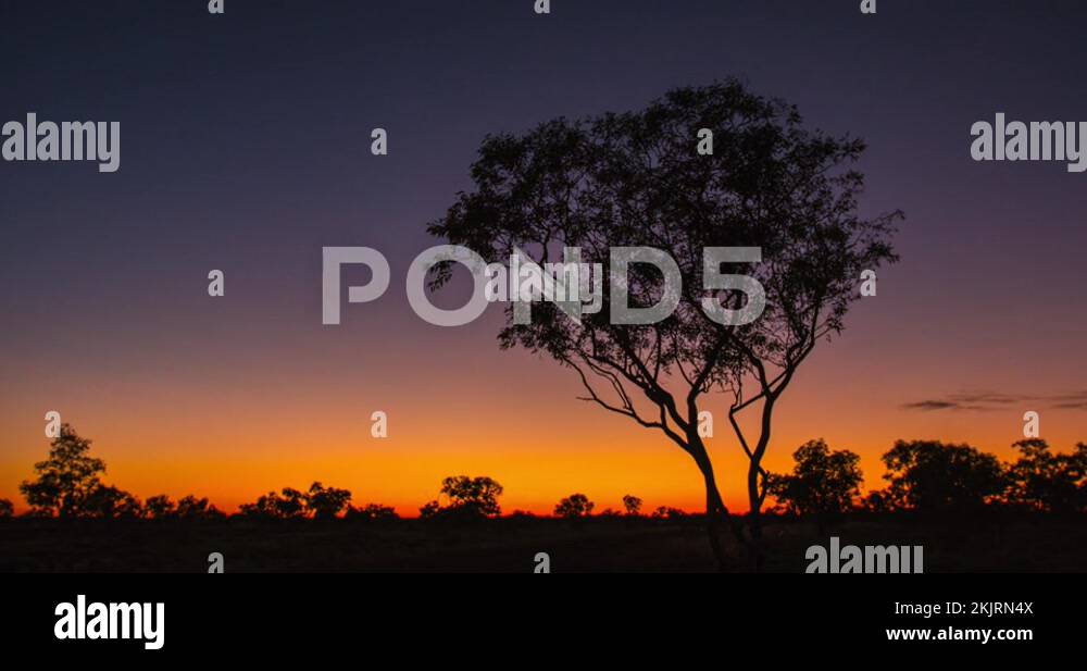 Western outback of australia Stock Videos & Footage - HD and 4K Video ...