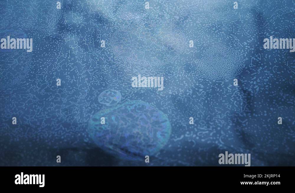 polluted water surface. water with different colored patches of ...