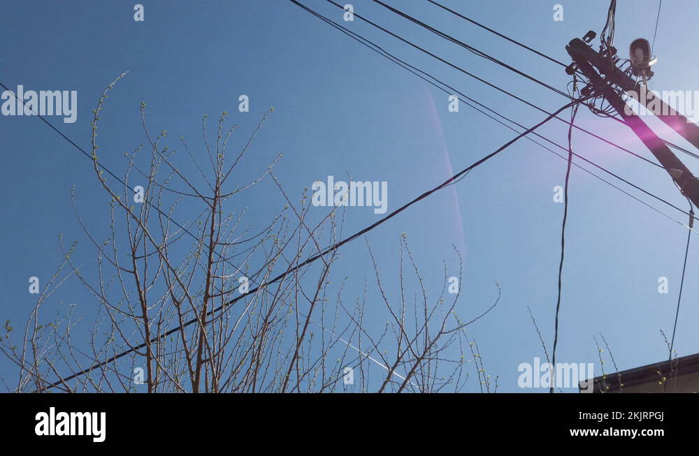 Street light cables Stock Videos & Footage - HD and 4K Video Clips - Alamy