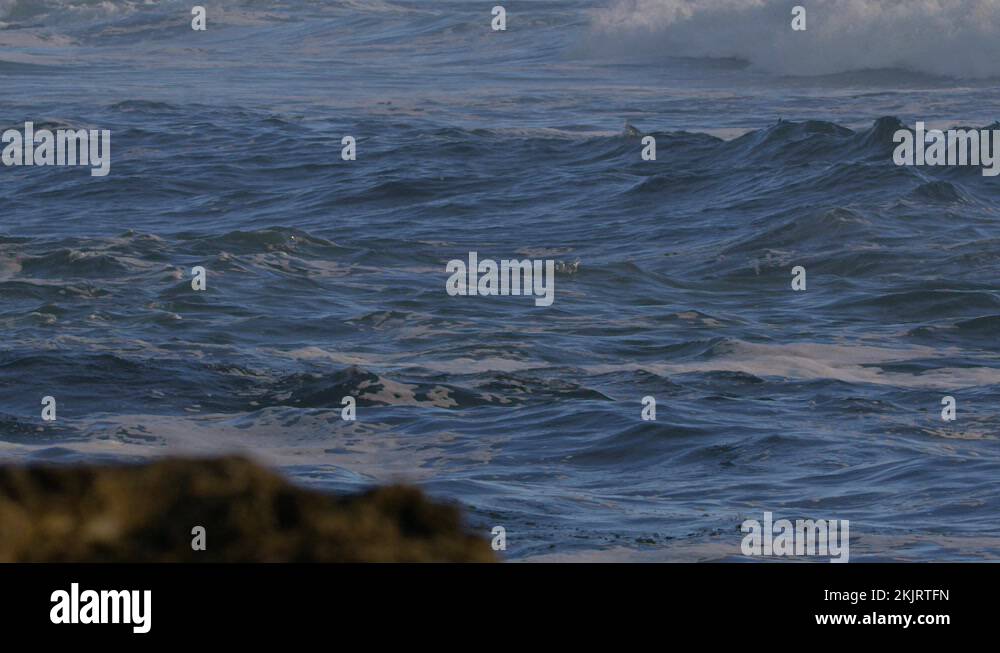 Ocean nature scenic Stock Videos & Footage - HD and 4K Video Clips - Alamy