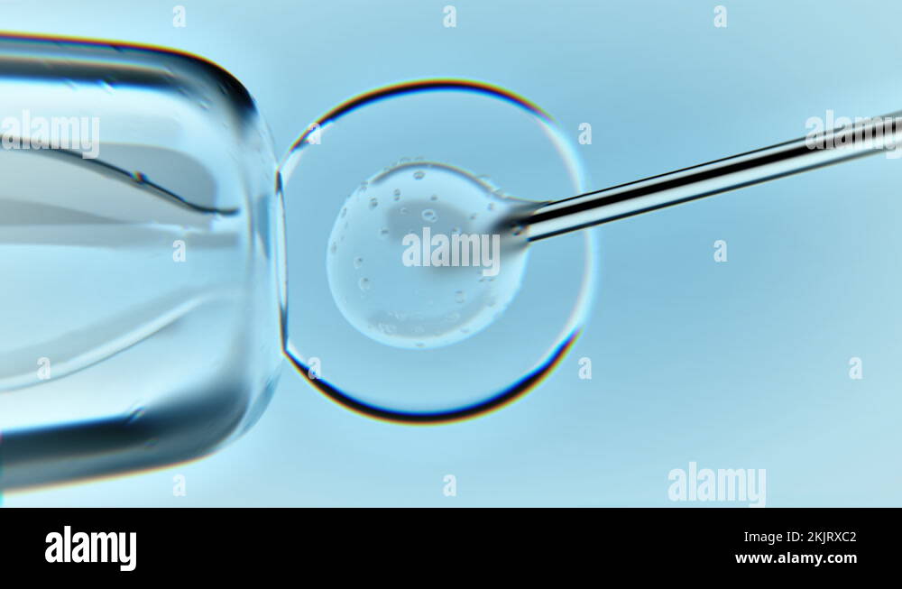 In Vitro fertilisation process through a microscope. Laboratory ...