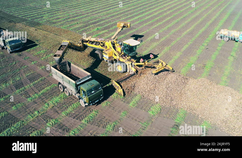 Food transport vehicles Stock Videos & Footage - HD and 4K Video Clips ...