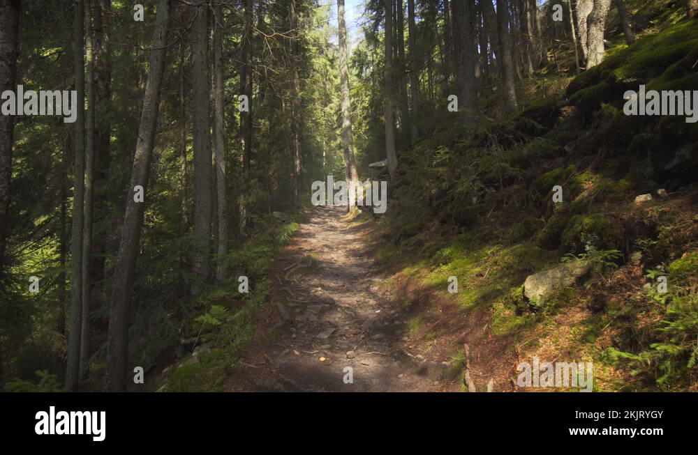 Trail movement Stock Videos & Footage - HD and 4K Video Clips - Alamy