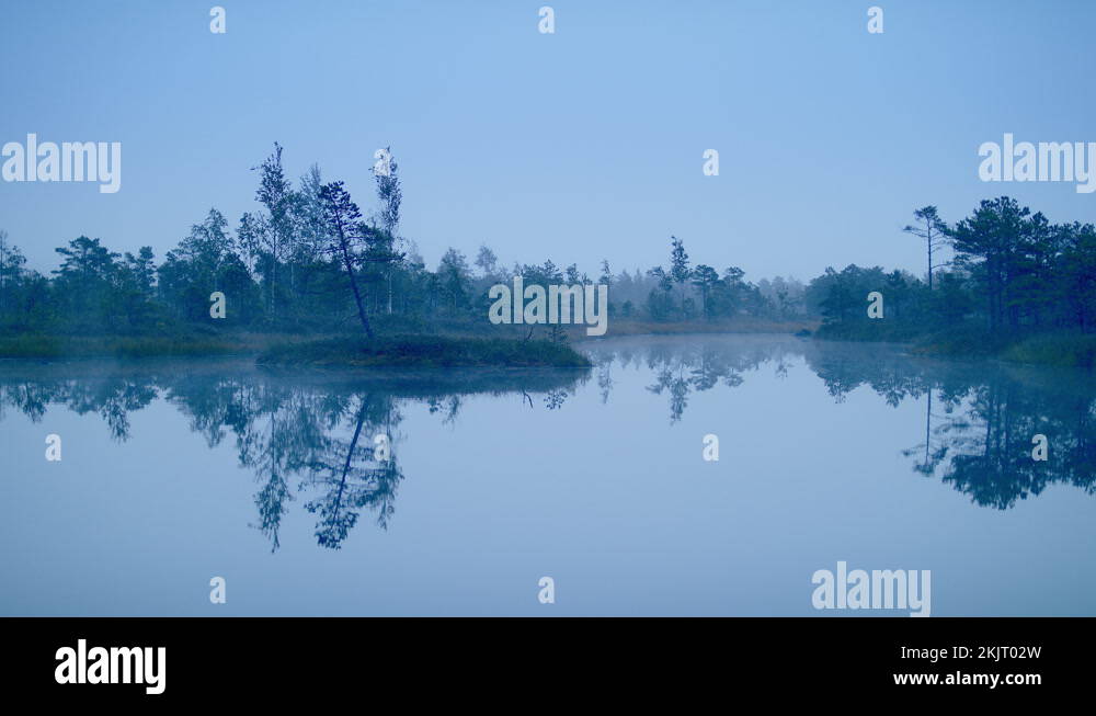 Bog europe Stock Videos & Footage - HD and 4K Video Clips - Alamy