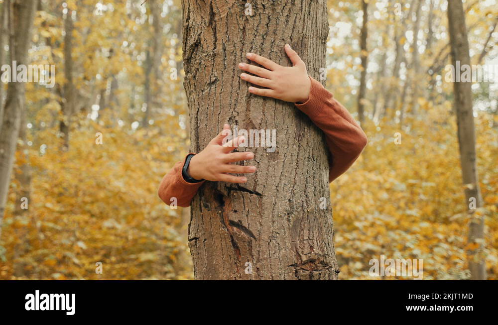 Girl hugging tree in forest Stock Videos & Footage - HD and 4K Video ...