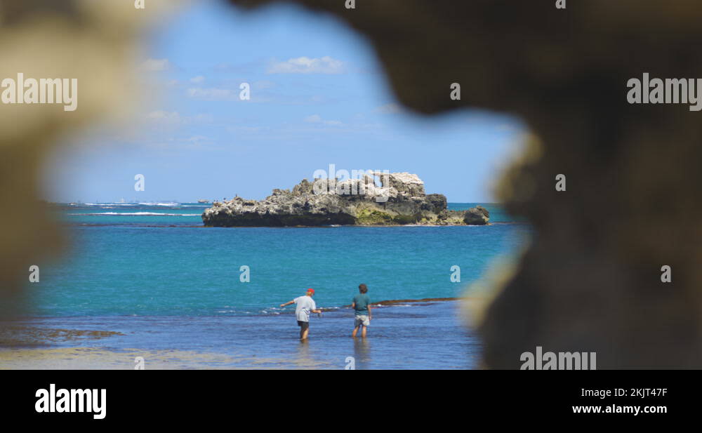 Seaweed beds Stock Videos & Footage - HD and 4K Video Clips - Alamy