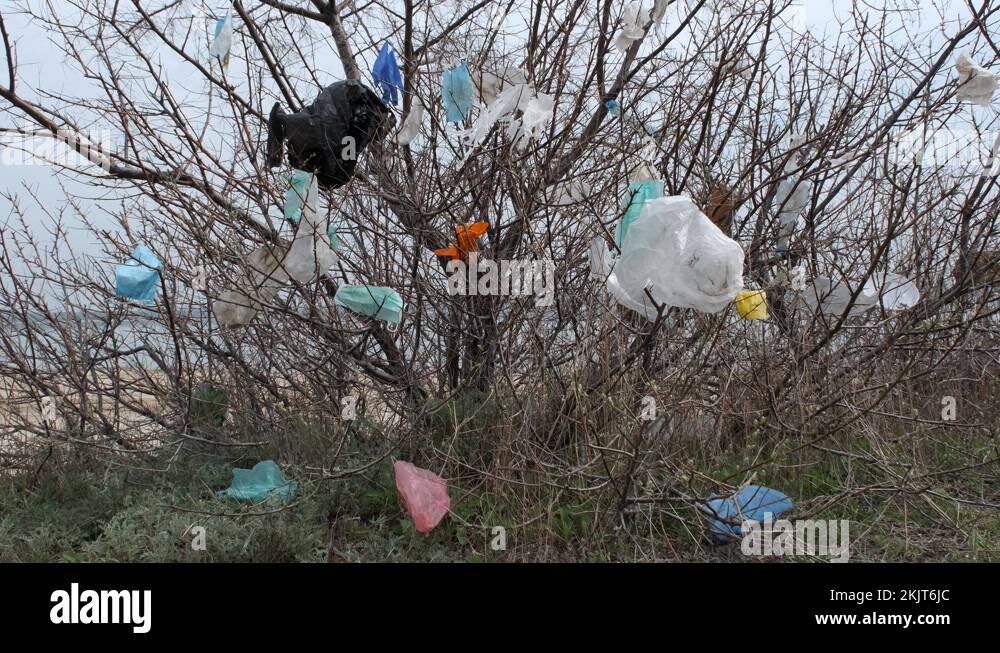 Rubbish discarded along tree Stock Videos & Footage - HD and 4K Video ...