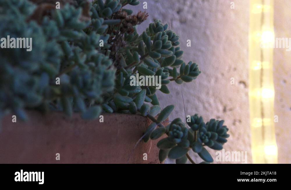 Clay pot light Stock Videos & Footage - HD and 4K Video Clips - Alamy