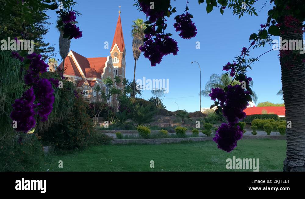 4K video of Jacaranda trees in full bloom, Windhoek, Namibia Stock ...
