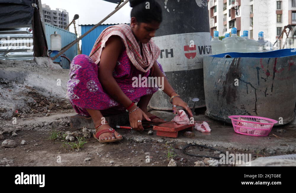 Cuttingfish Stock Videos & Footage - HD and 4K Video Clips - Alamy