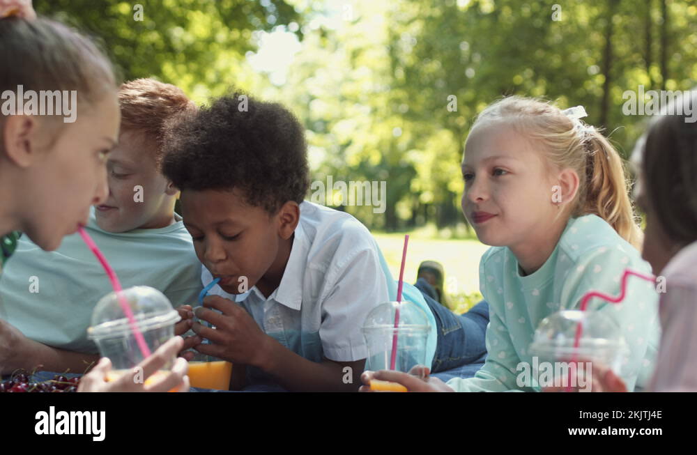 School picnic Stock Videos & Footage - HD and 4K Video Clips - Alamy