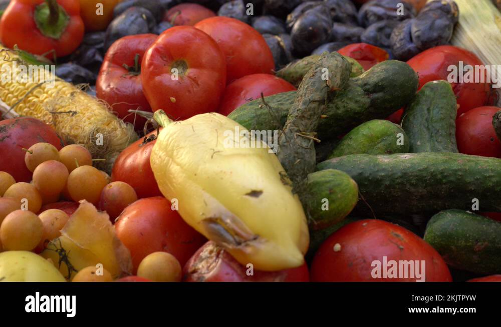 Spoiled fruits and vegetables. Food loss and Food Waste on the Farm ...