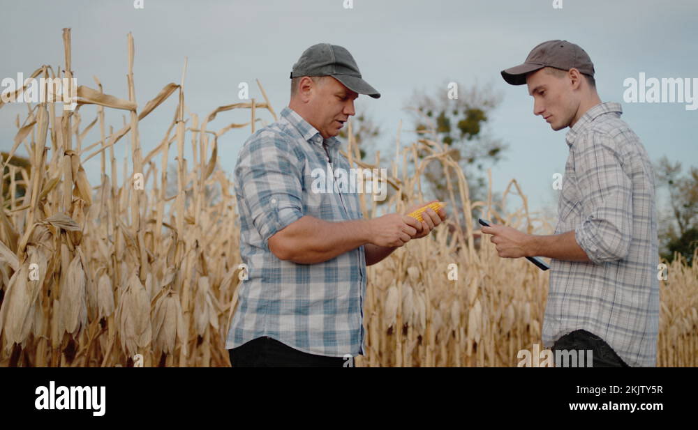 Field samples Stock Videos & Footage - HD and 4K Video Clips - Alamy