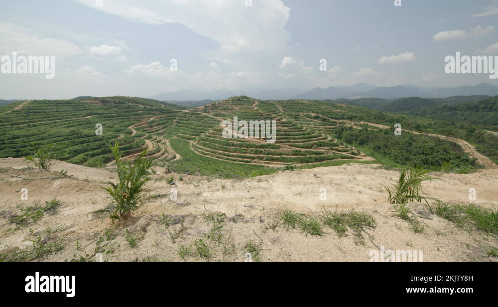 Sime Stock Videos & Footage - HD and 4K Video Clips - Alamy