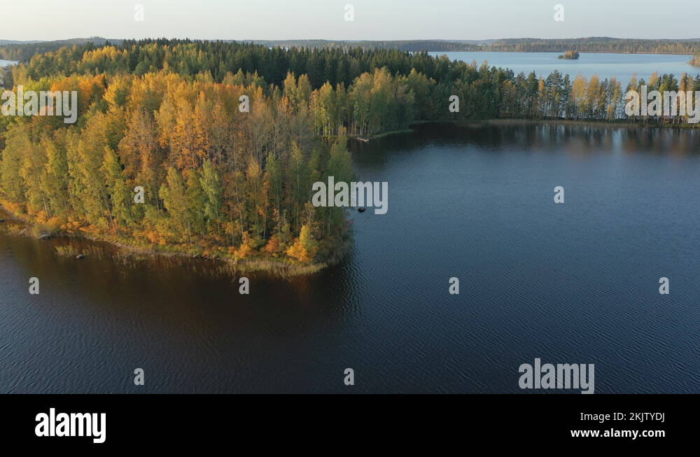 The landscape view of the trees on the side of Lake Saimaa in Finland ...