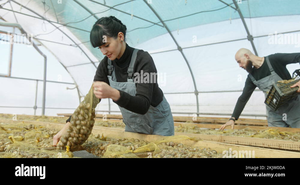 Shaking packages Stock Videos & Footage - HD and 4K Video Clips - Alamy